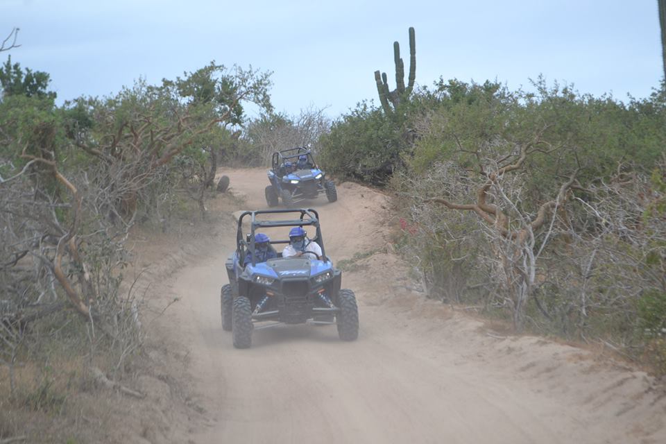 Combo Rzr y Caballo en la Playa - My Experience Tours