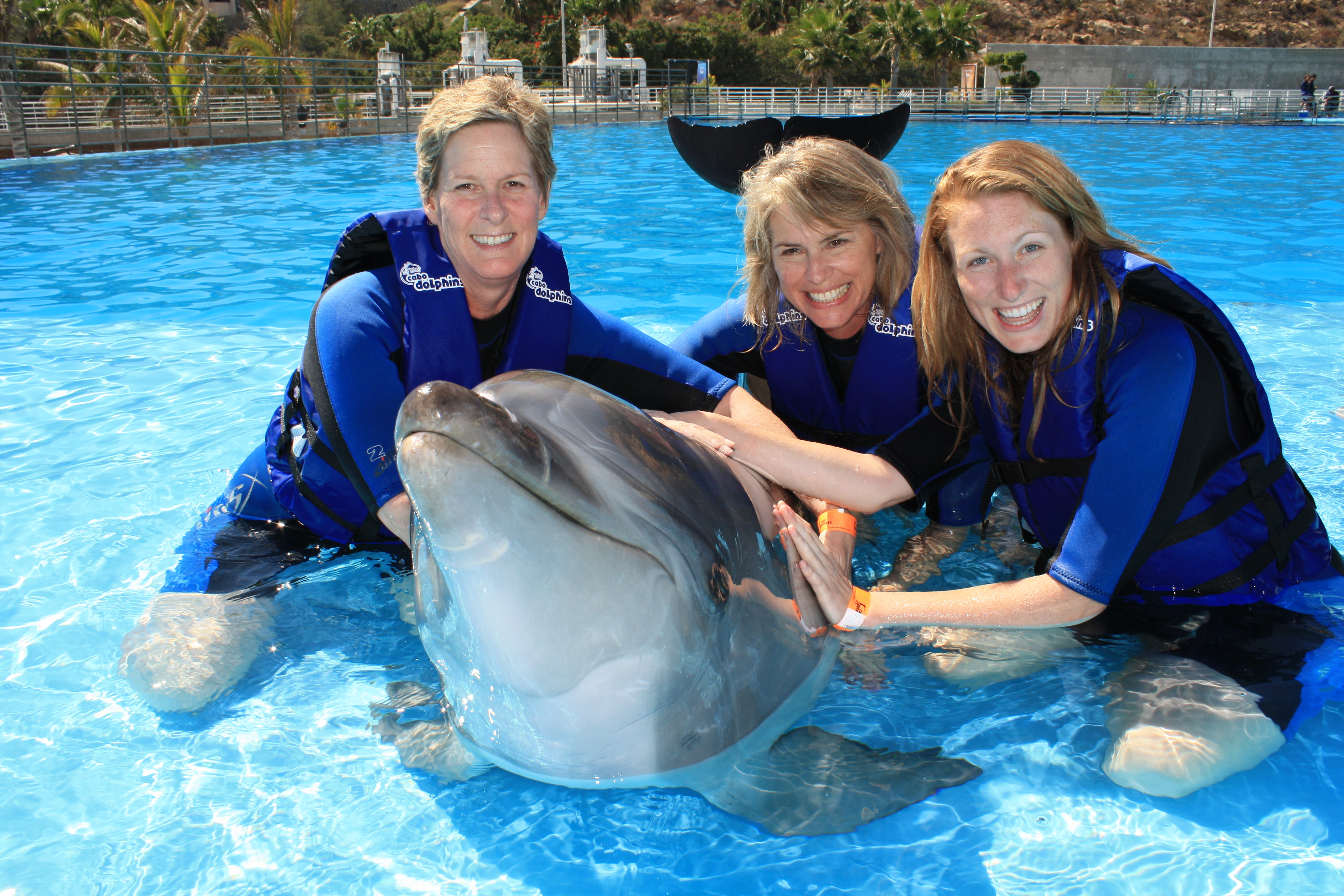 Dolphin Encounter Adventure - My Experience Tours