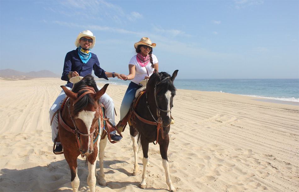 Beach & Desert Horseback Riding