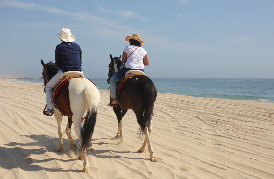 Beach & Desert Horseback Riding