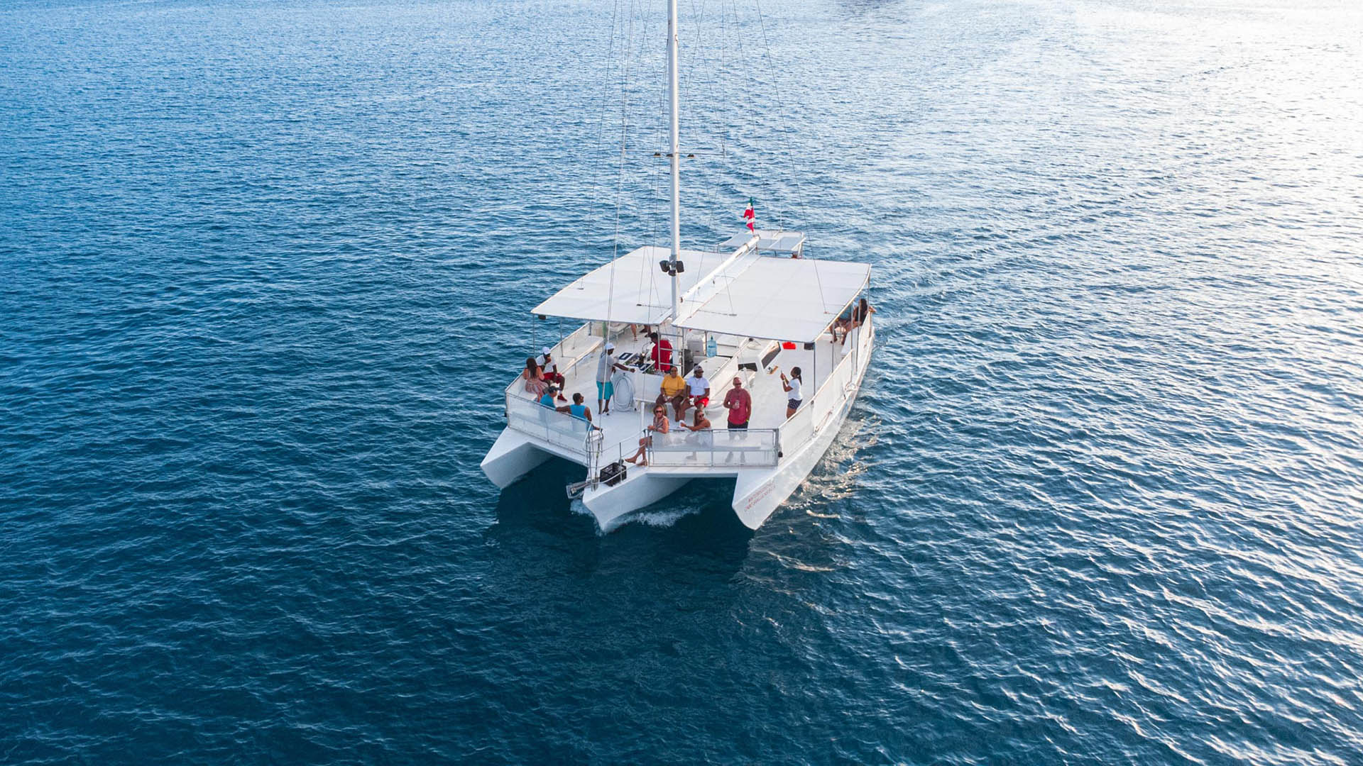 Sunset Party Pez Gato