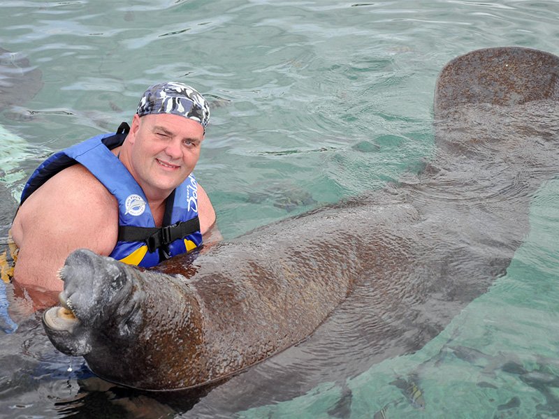 Manatee Encounter in Cozumel - My Experience Tours