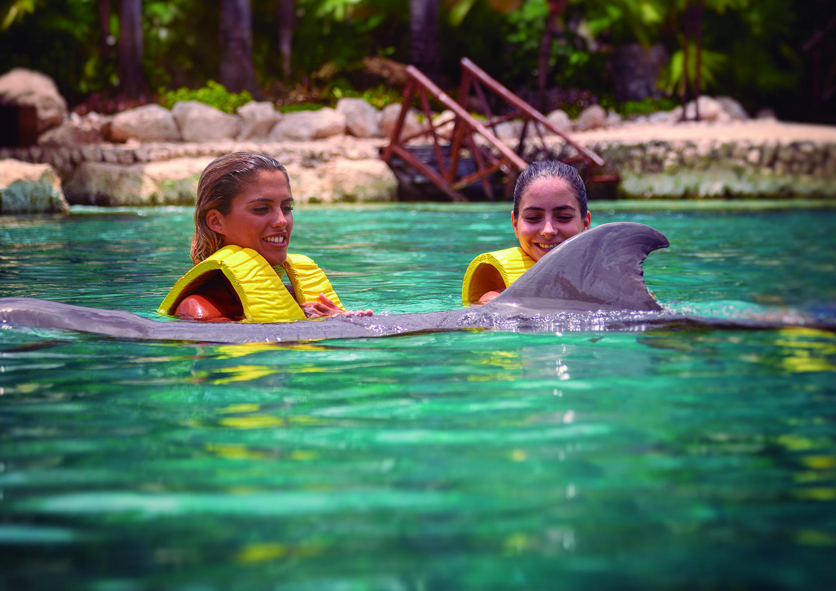 Fintastic Experience Swim