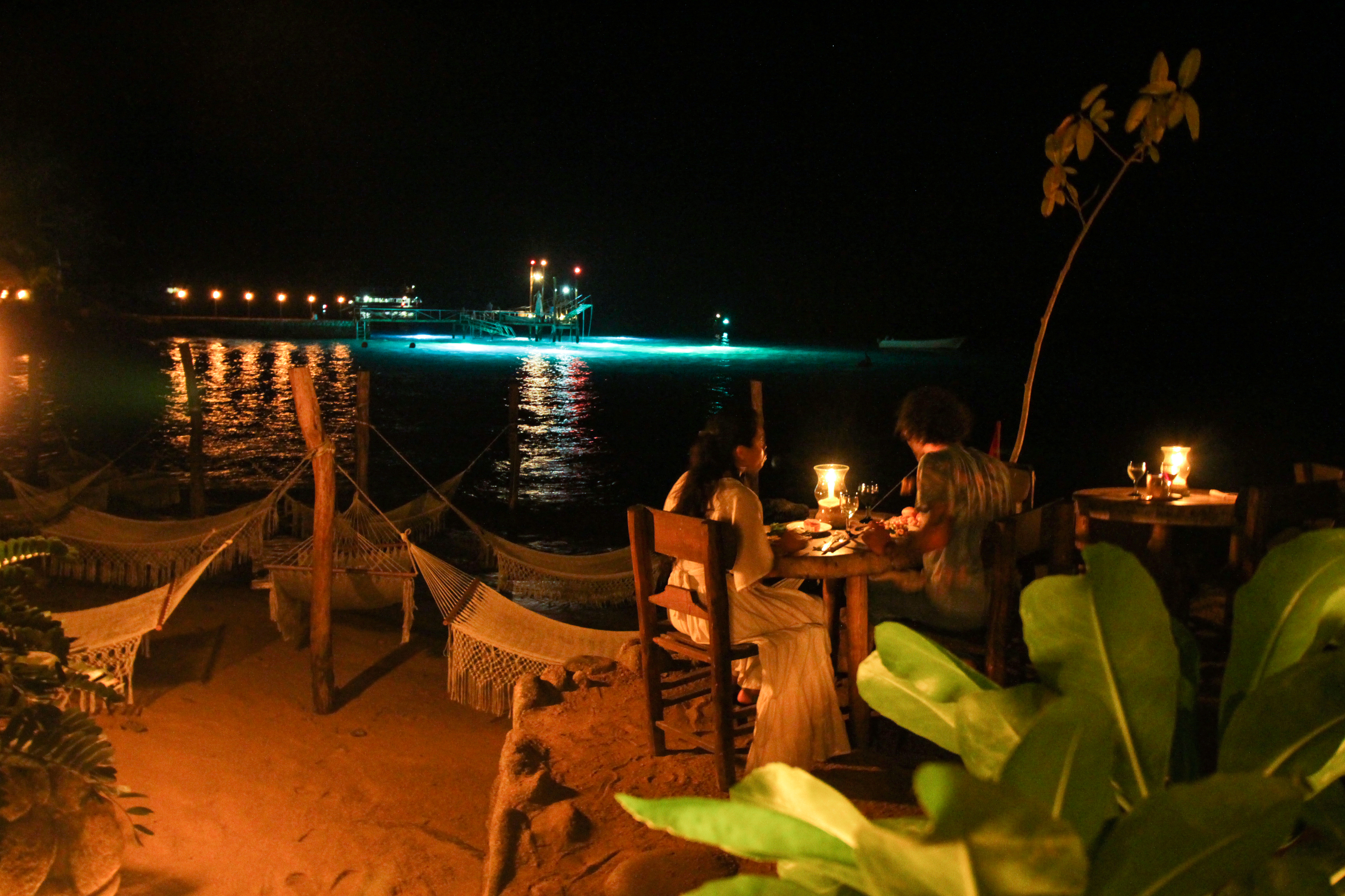 Rhythms of the Night