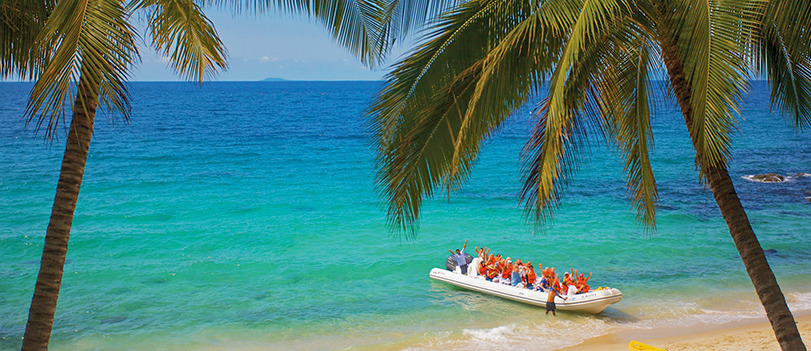 Sea Safari - My Experience Tours