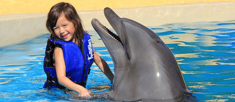 Dolphin Kids - My Experience Tours