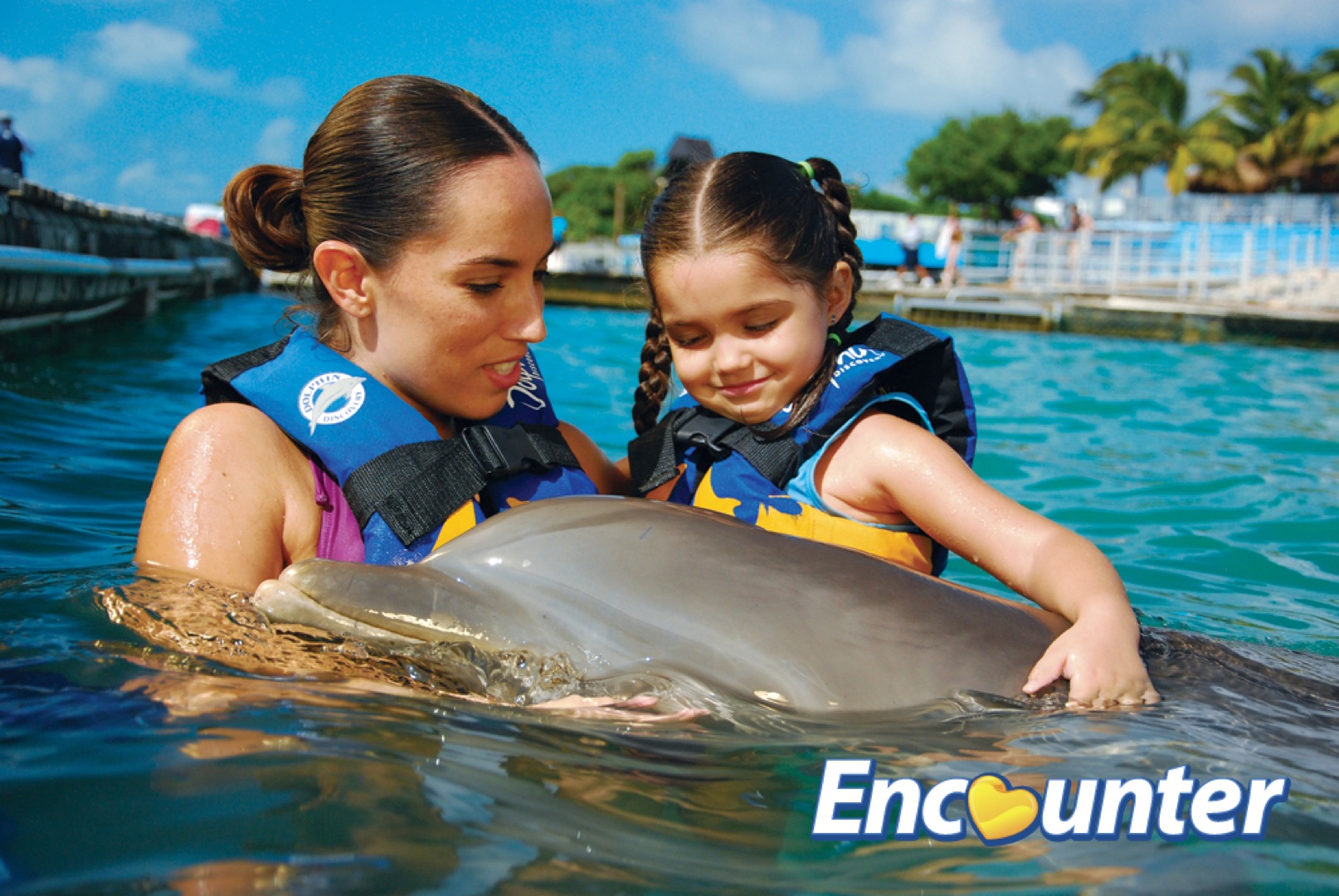 Dolphin Encounter